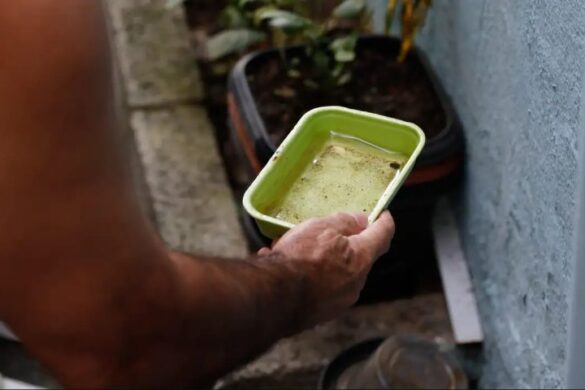 Bonito prorroga prazo do programa de regularização de débitos até 27 de ...